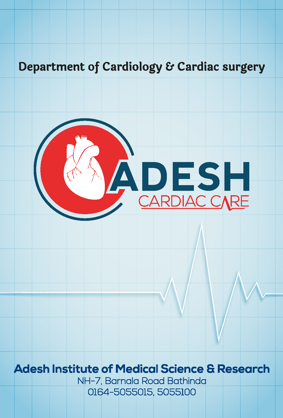 Adesh Hospital